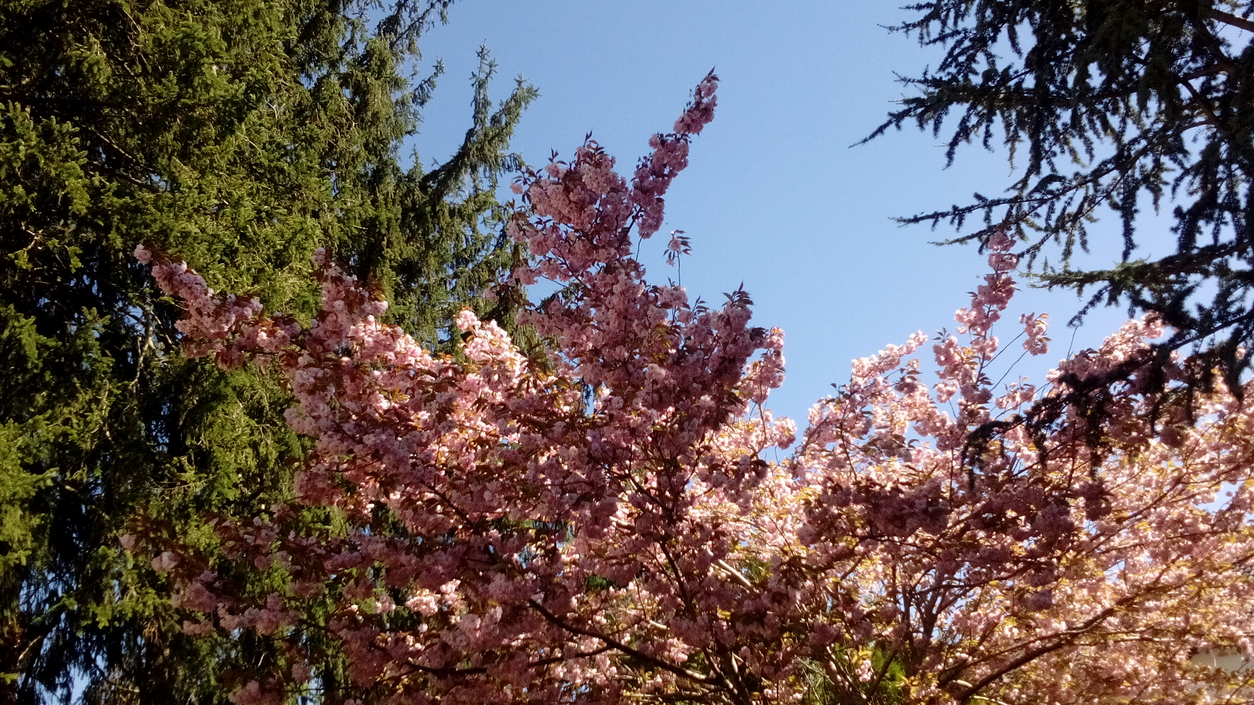 Idyllisches Einfamilienhaus mit einzigartigem Südgrundstück in bester ...